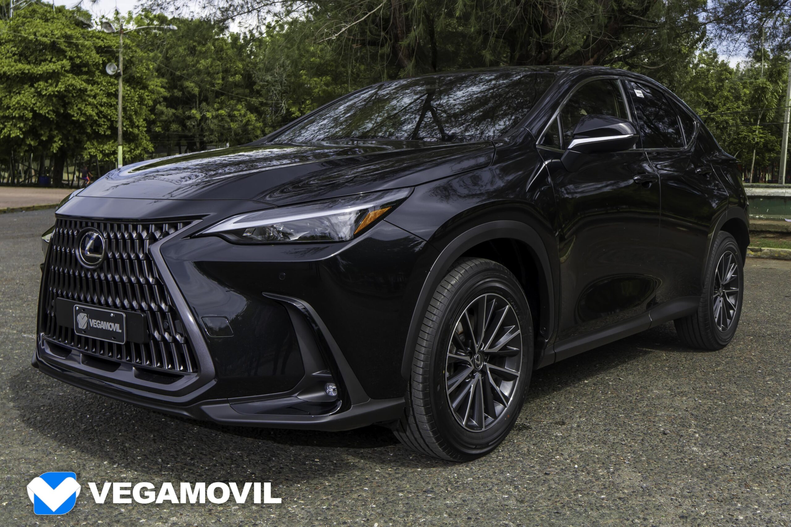 LEXUS NX 250 FULL - Vegamovil