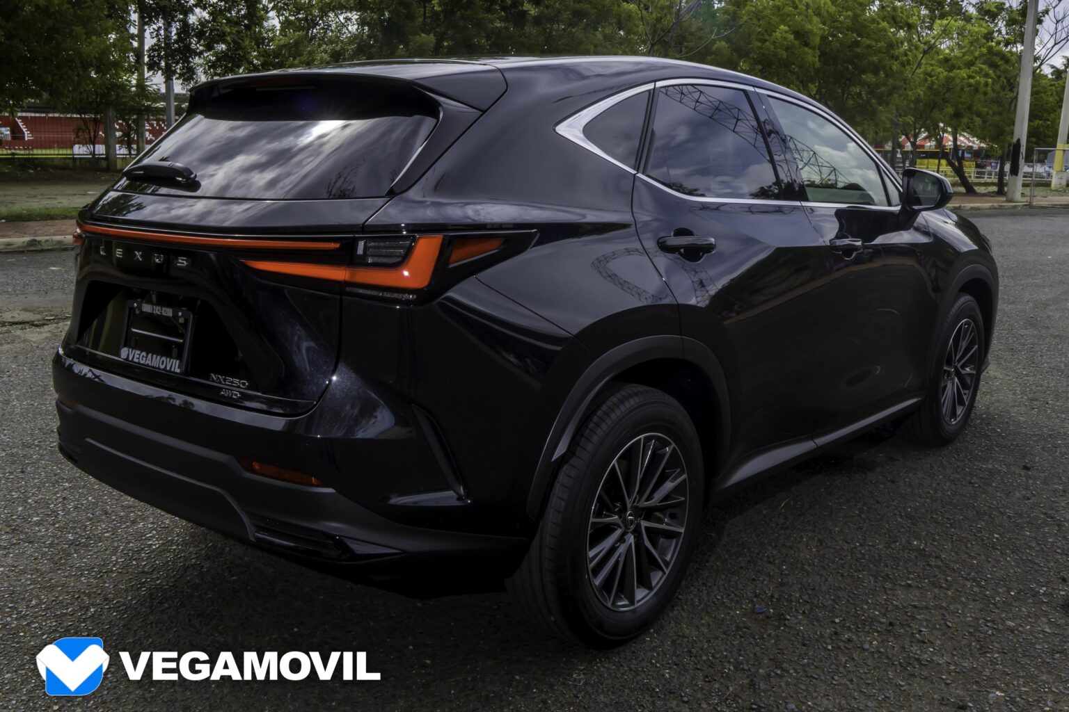 LEXUS NX 250 FULL - Vegamovil